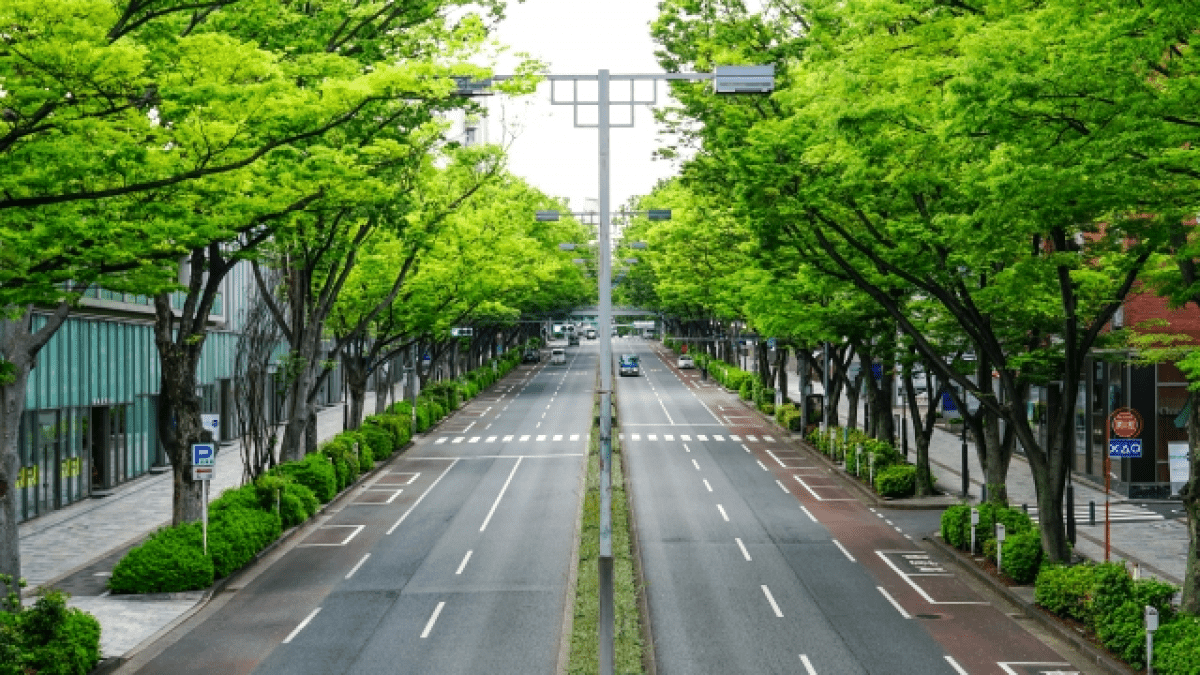 【衝撃】BTS・Vが表参道に登場!! あまりの美しさに観衆は大熱狂 | AppBank